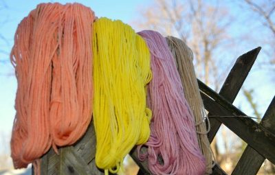 Solar Dyeing Wool Using Natural Plants - Countryside